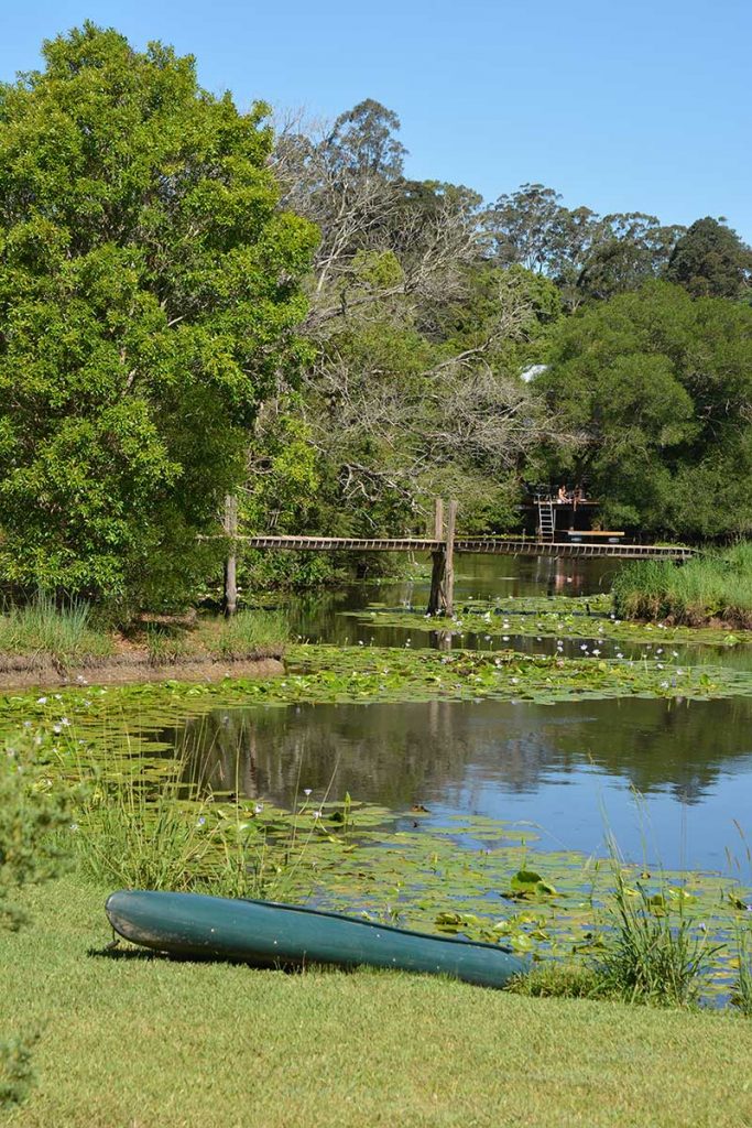 Services - Mark Falzon